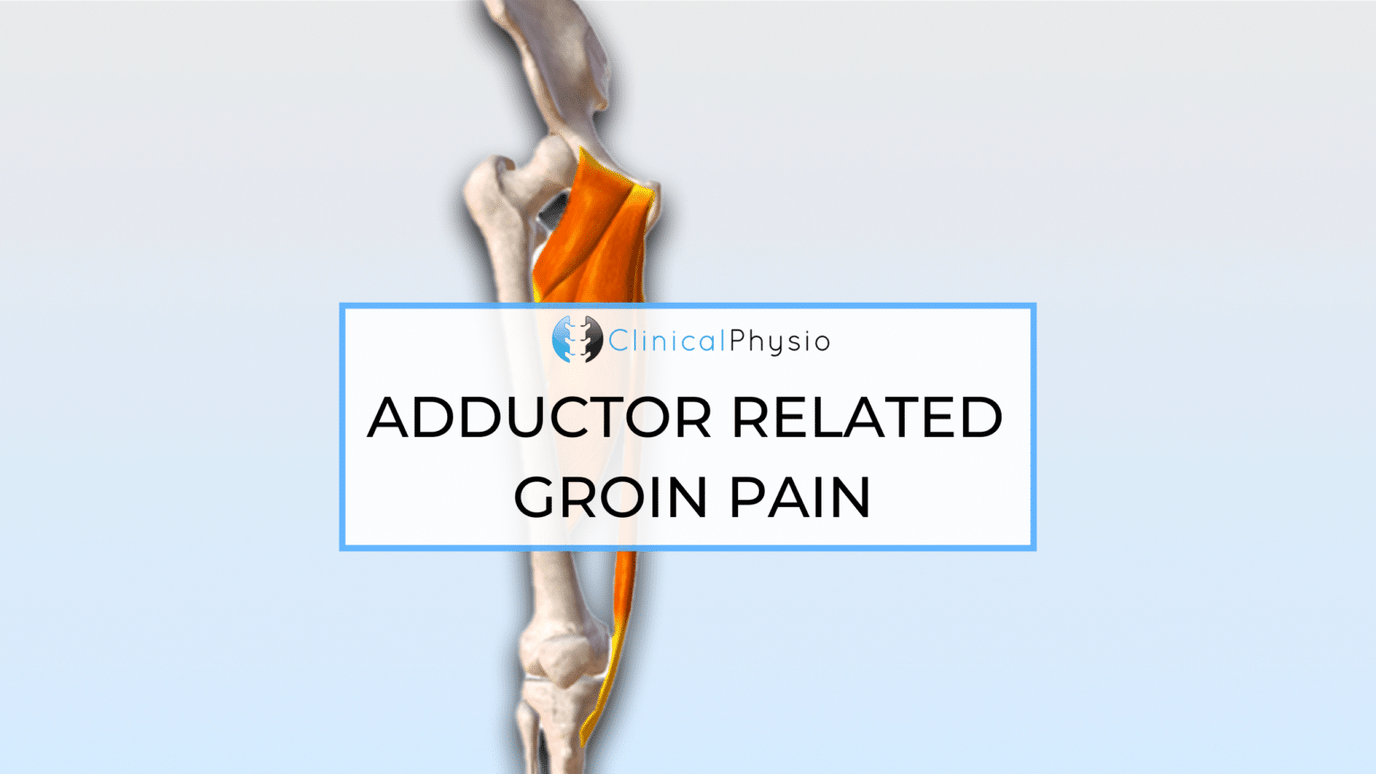 Adductor Related Groin Pain – Clinical Physio Membership