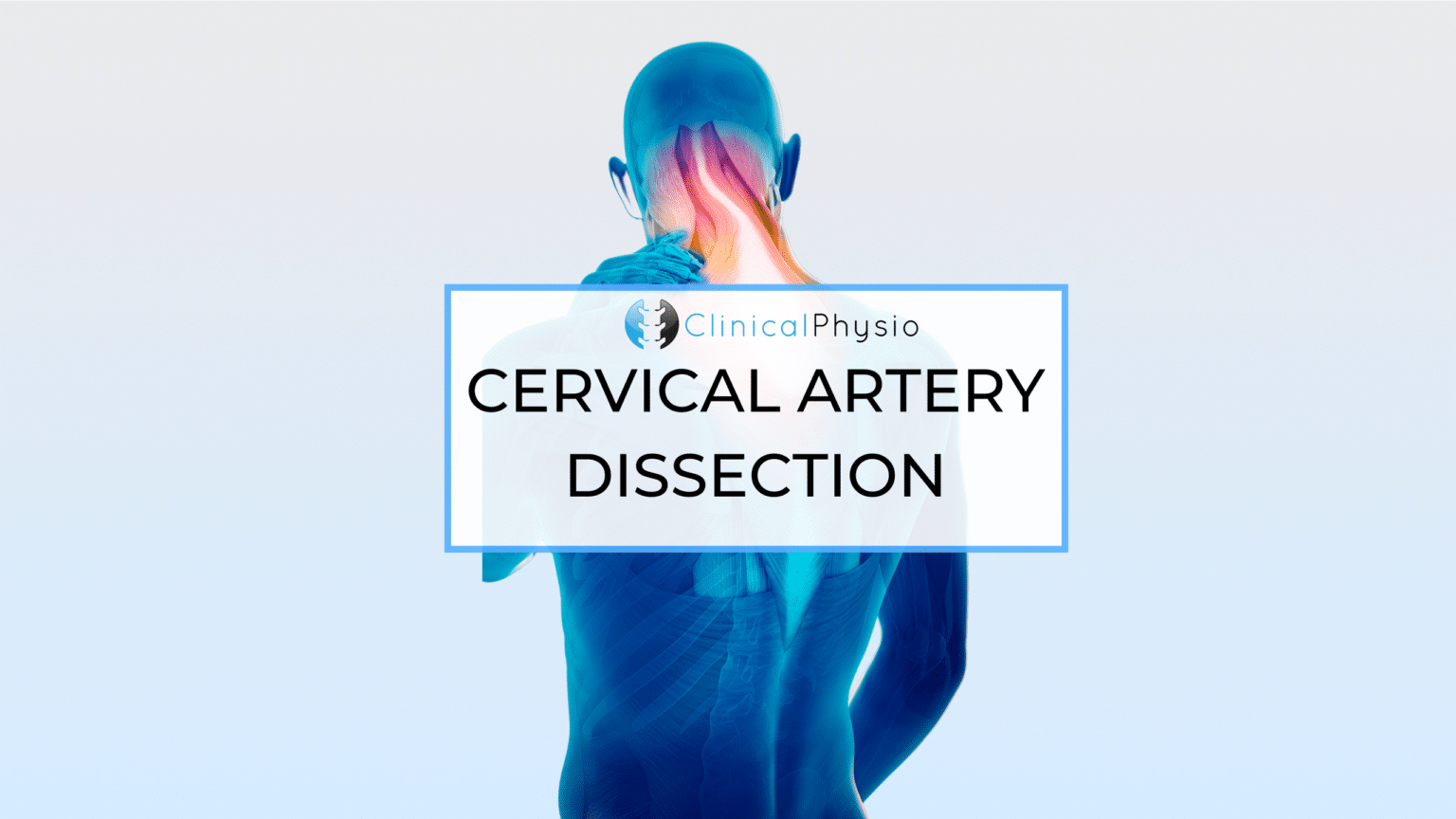 Cervical Artery Dissection – Clinical Physio Membership