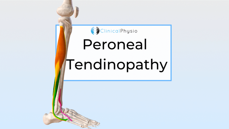 Peroneal Tendinopathy – Clinical Physio Membership