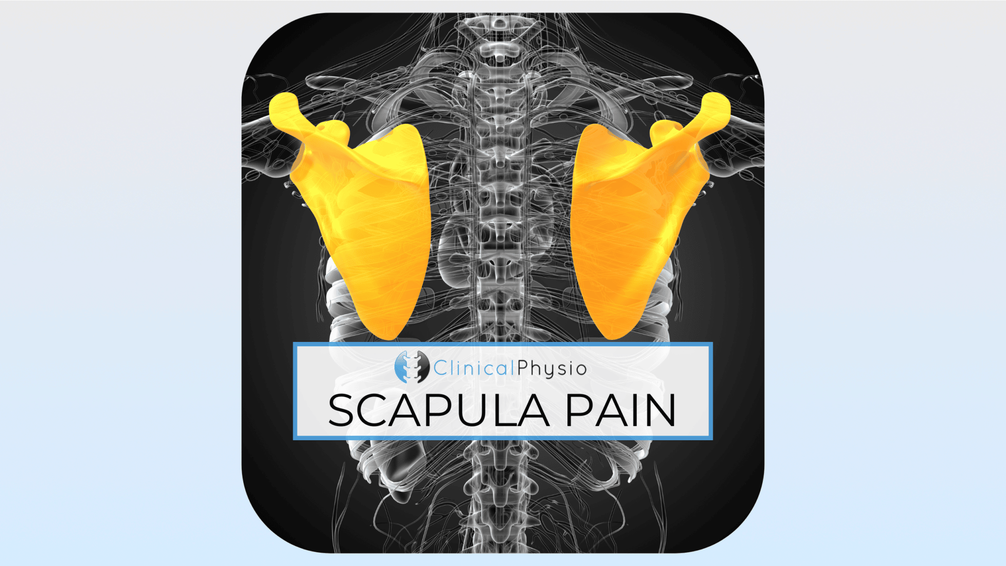 Scapula Pain – Clinical Physio Membership