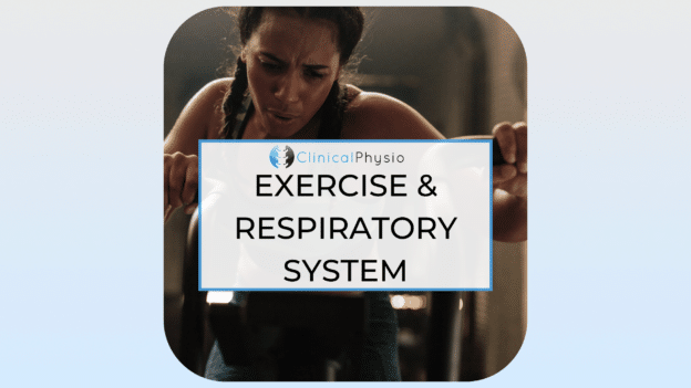 Exercise and its Effect on the Respiratory System – Clinical Physio ...