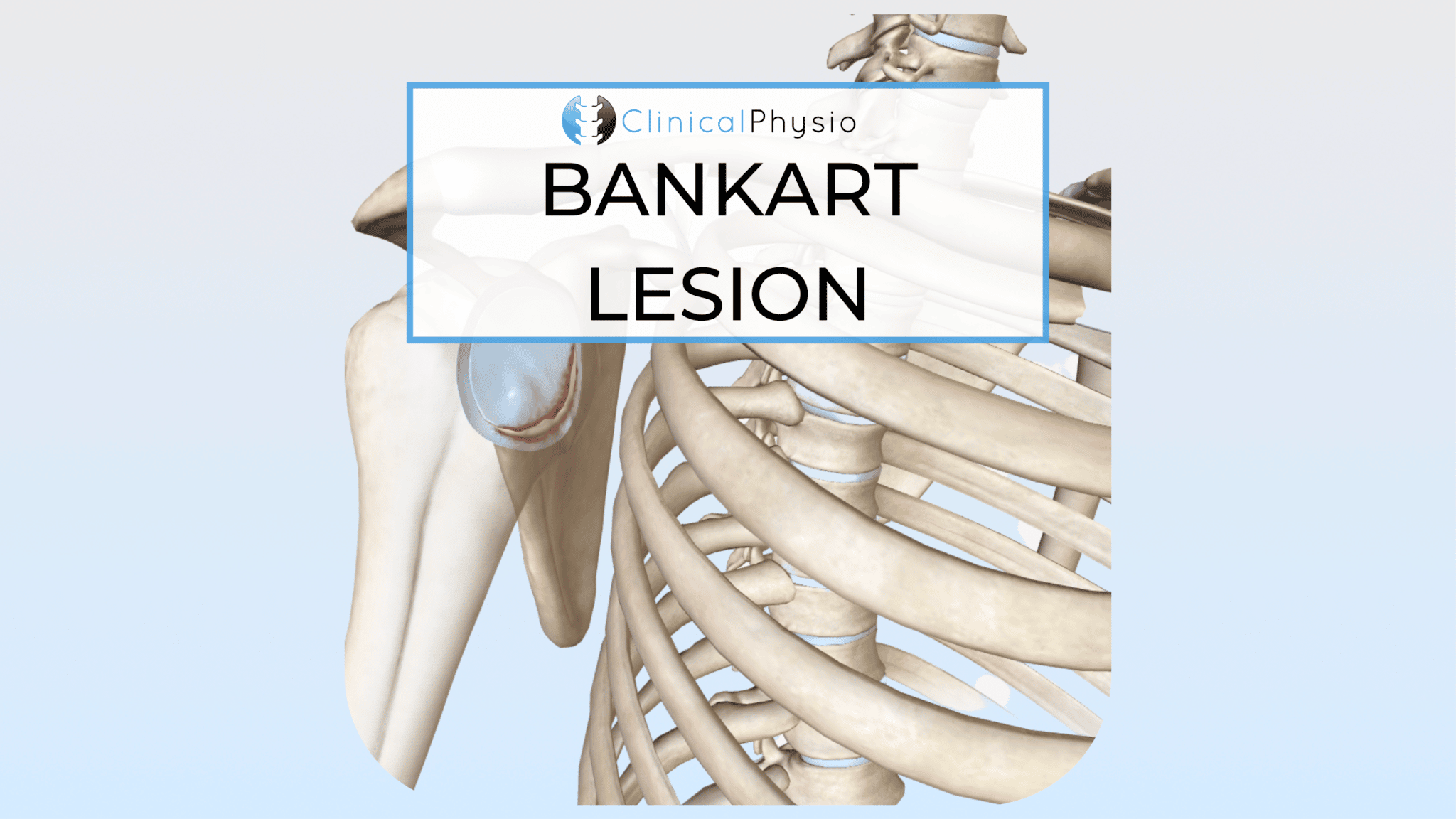 Inverted supinator sign – Clinical Physio Membership