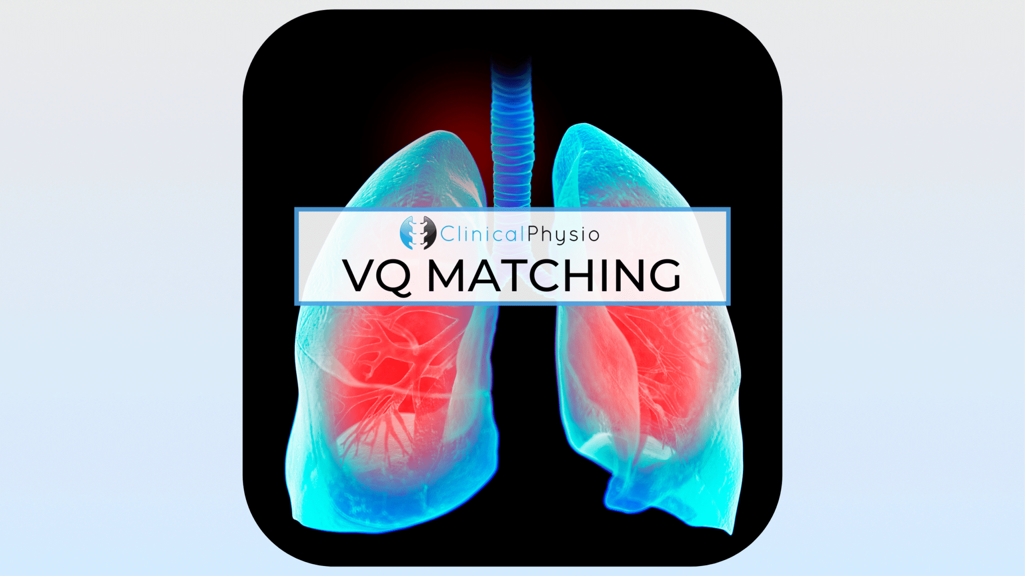 VQ Matching – Clinical Physio Membership