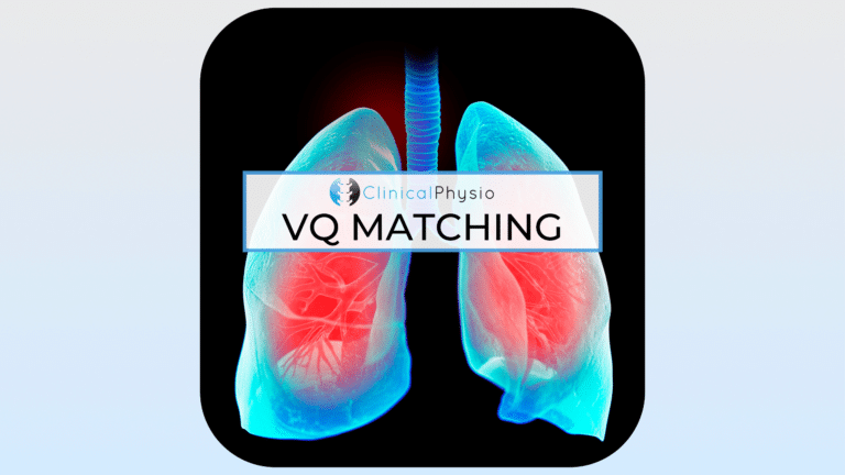 VQ Matching – Clinical Physio Membership