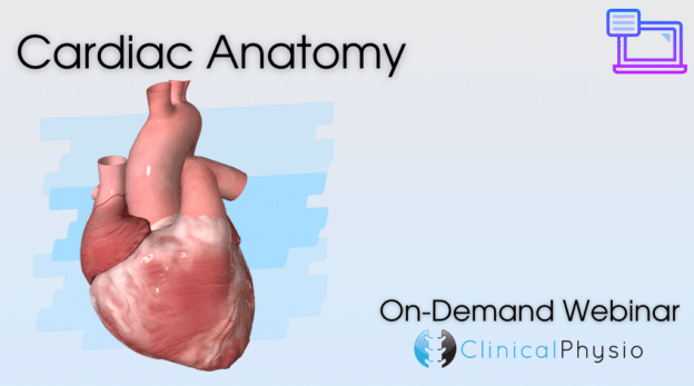 CardioResp Anatomy – Clinical Physio Membership