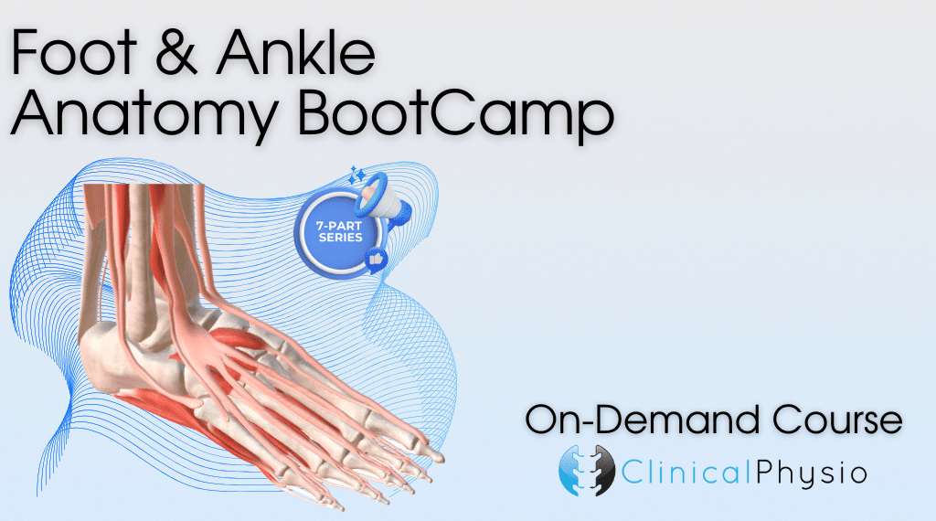 Foot & Ankle – Clinical Physio Membership