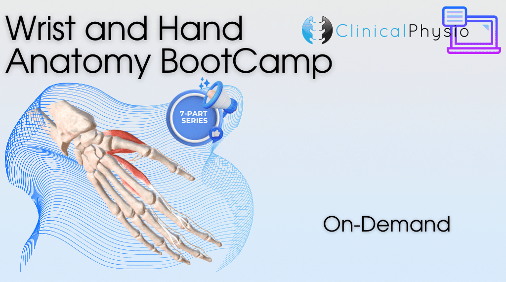 hand anatomy – Clinical Physio Membership