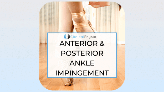 Anterior and Posterior Ankle Impingement – Clinical Physio Membership
