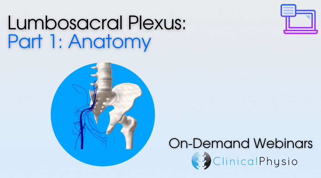 Peripheral Nerve Anatomy – Clinical Physio Membership