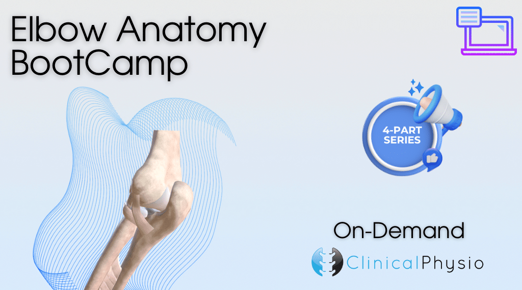 elbow anatomy – Clinical Physio Membership