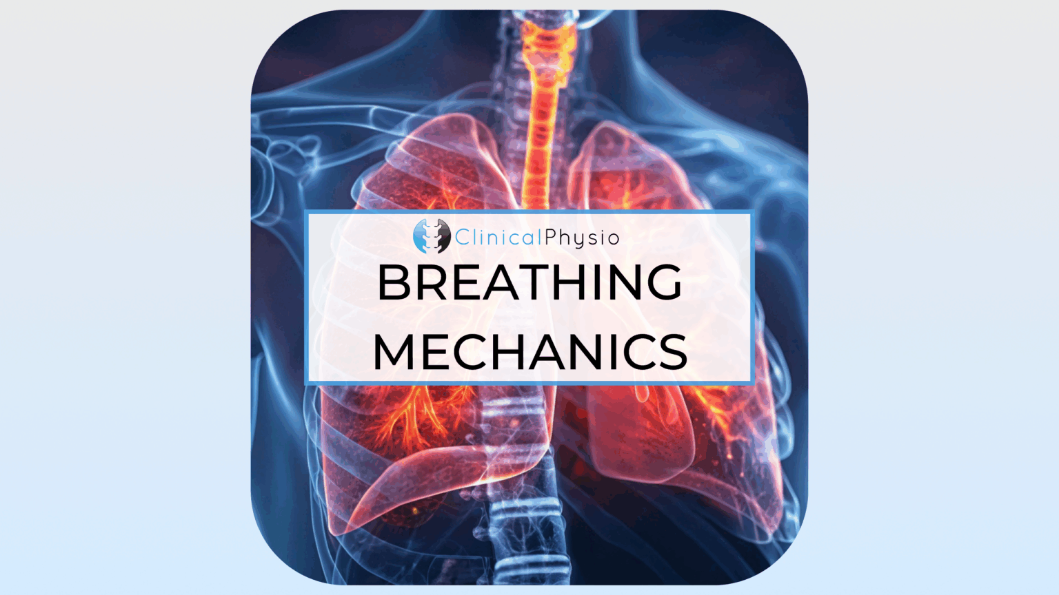 SCREEND’EM – Clinical Physio Membership